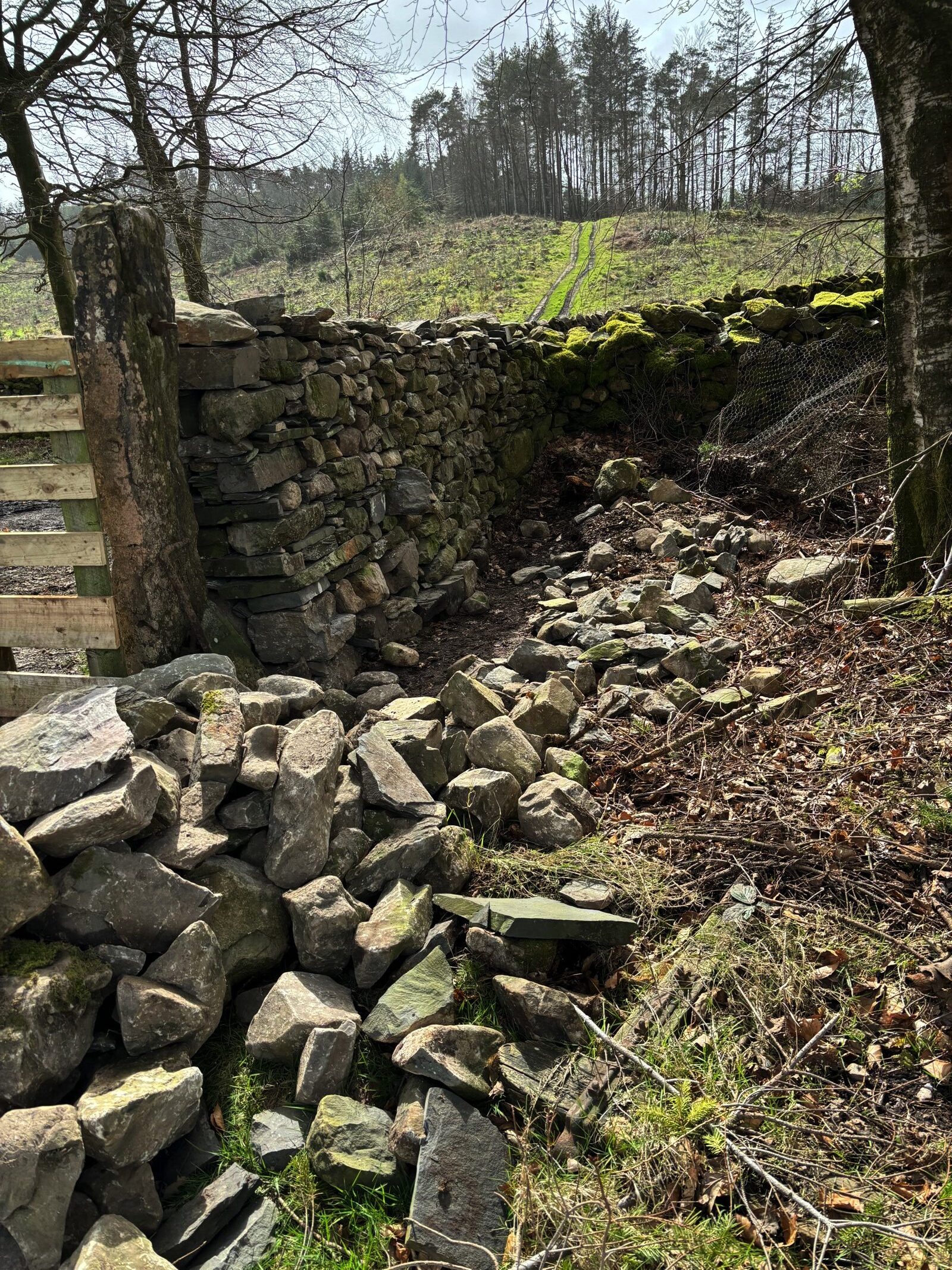 Gallery type 3 – Cumbria Dry Stone Walling Association