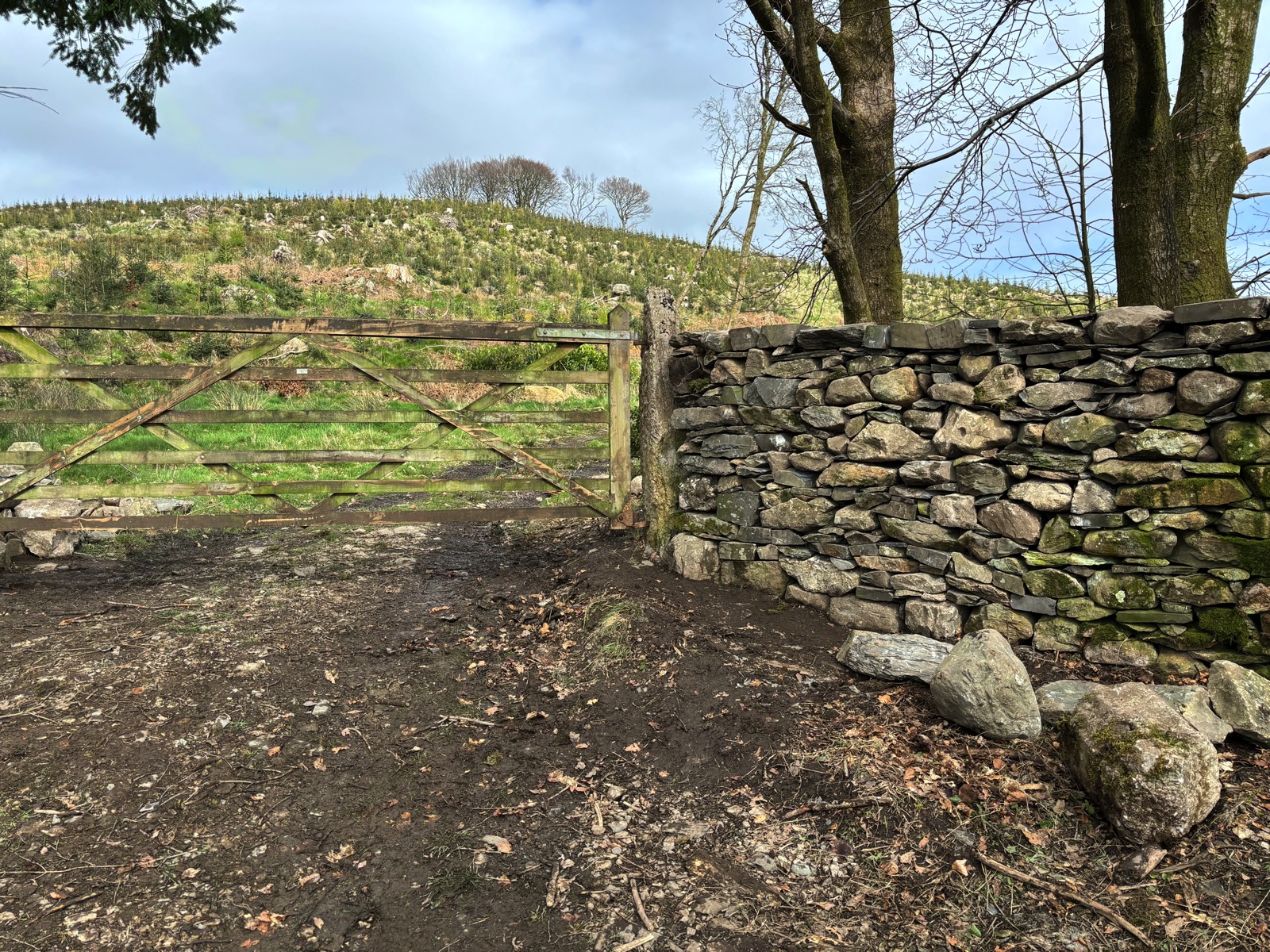 Gallery type 3 – Cumbria Dry Stone Walling Association
